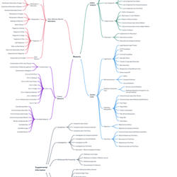 Taxonomy of Retraction Reasons - Visual Mapping