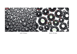 Microstructures of foam under different magnifications at 20