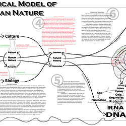 Dialectical Model of Human Nature