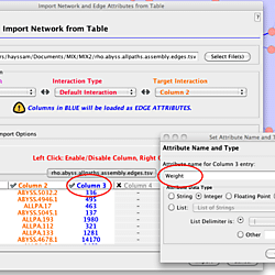 Importing edge attributes