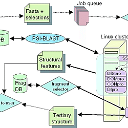 Flow diagram for the SCRATCH server