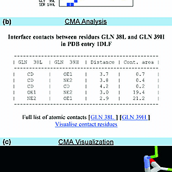 Server for construction and analysis of protein contact maps