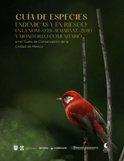Guía de especies endémicas y en riesgo en la NOM-059-SEMARNAT-2010 y ...