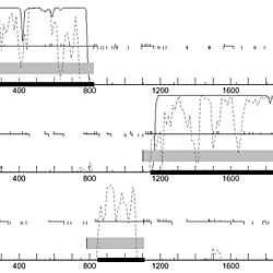 Item - Graphical output from the combination of GeneMark and GeneMark ...