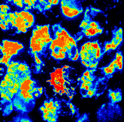 Advances and Future Trends in Real-Time Precision Opto-Control (RPOC ...
