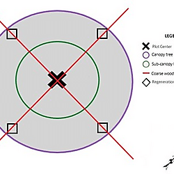 Field Sampling Methodology