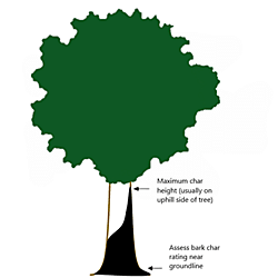 Char Height Identification Guide