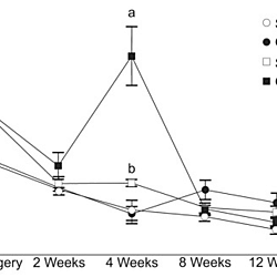 Biochemical analysis of CTX II levels as an indicator of cartilage turnover