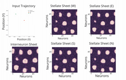 2D Grid cell patterns
