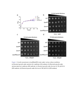 The regulation of AsfR on tmRNA expression mediates bacterial motility ...
