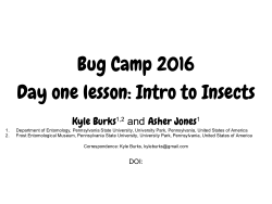 Intro to Insects, day one lesson of PSU's BugCamp2016