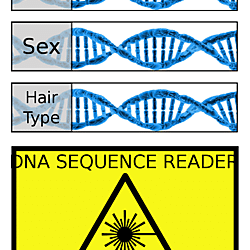 Gene Cards (editable SVGs)