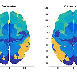 HCP-MMP1.0 projected on MNI2009a GM (volumetric) in NIfTI format
