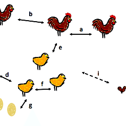 Olfaction in chicken: A neglected mode of social communication ...