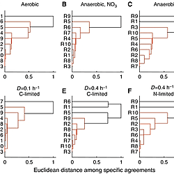 Hierarchical cluster trees based on the Euclidean distance among ...