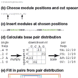 Procedure for making random sequences