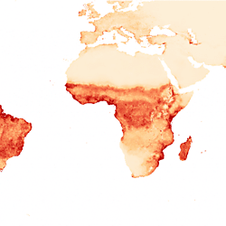 Updated maps of Aedes aegypti and A. albopictus