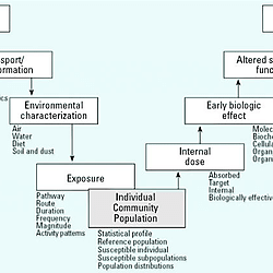 Environmental public health continuum used by the U