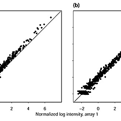 The normalized log intensity in a pair of replicate arrays