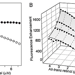 Module structure of interphotoreceptor retinoid-binding protein (IRBP ...