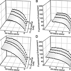 Module structure of interphotoreceptor retinoid-binding protein (IRBP ...