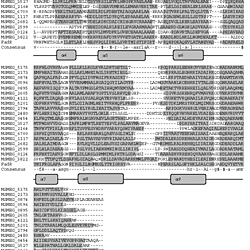 GntR family of regulators in : a sequence and structure based ...
