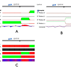 We are providing a convention how to configure the display of different ...