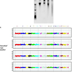 Analysis of FFPE samples
