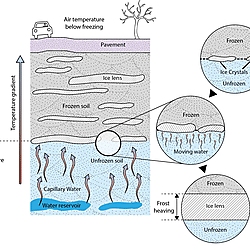 Schematic representation of the principles of frost heave