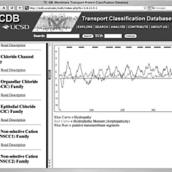 A plot characterizing a transporter with a 12 TMS topology