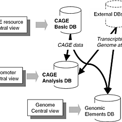 An overview of the CAGE supporting systems and data flow among them