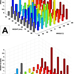 A) Distribution of the 95% confidence intervals for empirical angles recorded during the ...