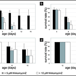 The structure of mollusc larval shells formed in the presence of the ...