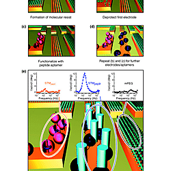 Schematic diagram showing the use of a molecular mask for selective ...