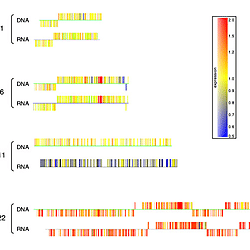 Comparison of relative hybridization data between RNA expression ...