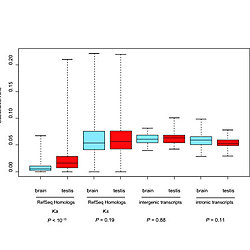 Sequence conservation of the brain-expressed and testis-expressed ...