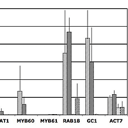 Isolation of a strong guard cell promoter and its potential as a ...