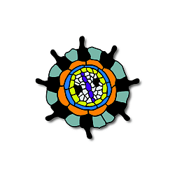 Cross section of an Arabidopsis root