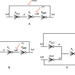 Alternative circuit configurations proposed by OptCircuit for the first ...