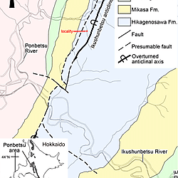 Oldest record of Trimeniaceae from the Early Cretaceous of northern Japan-0