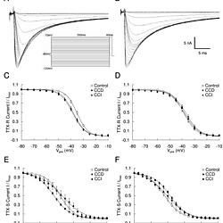 A and B: Representative records of the inactivation current from a slow ...