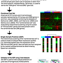 Overview of the analysis methods and datasets used in this paper