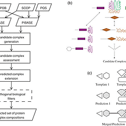 Prediction logic overview