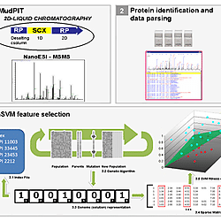 PatternLab for proteomics: a tool for differential shotgun proteomics-1