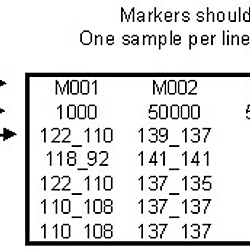 The format of a MIDAS input file