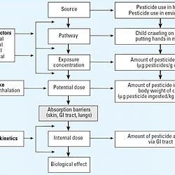 Exposure assessment paradigm