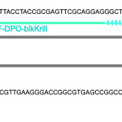 Blocking primers to enhance PCR amplification of rare sequences in ...