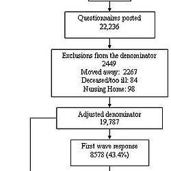 Flow chart of the survey