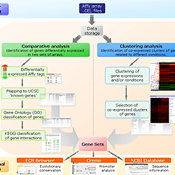 Schematic flowchart of the Array2BIO analysis