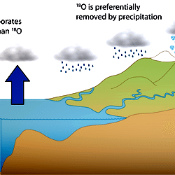 Oxygen isotopes in the hydrological cycle.tif